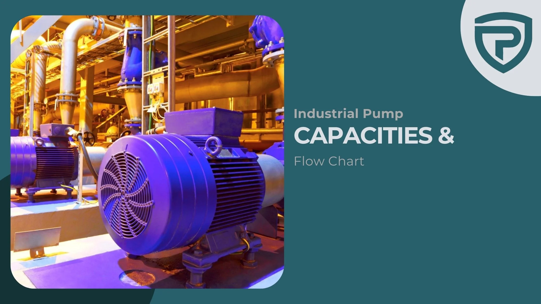 Industrial Pump Capacities & Flow Chart - Permik Industrial