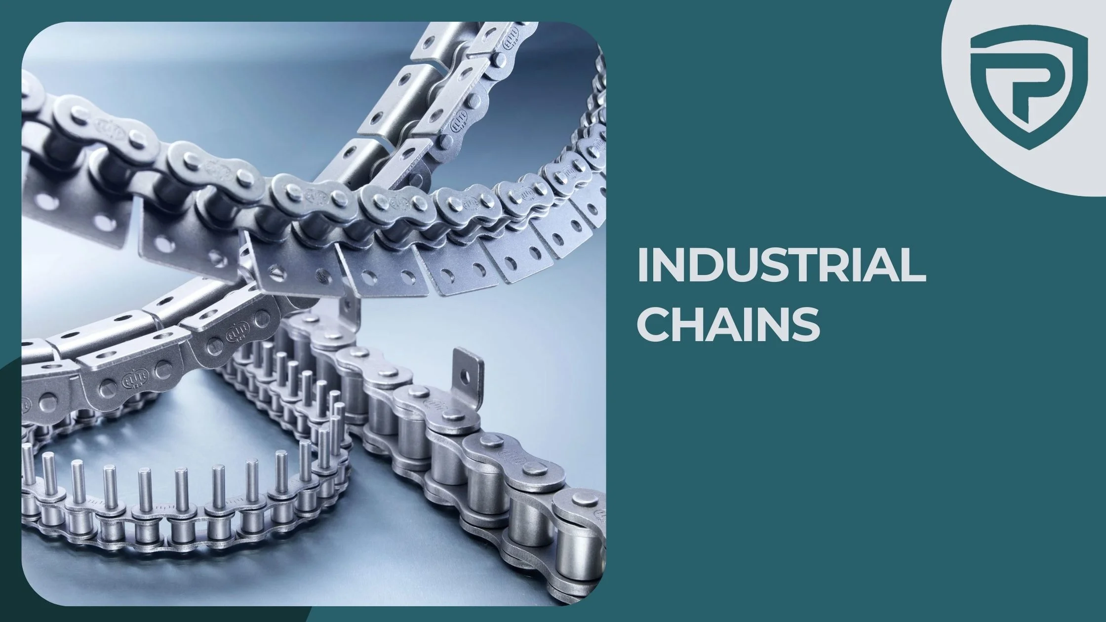 Industrial Chain: Your Ultimate Guide to Choosing the Right Supplier
